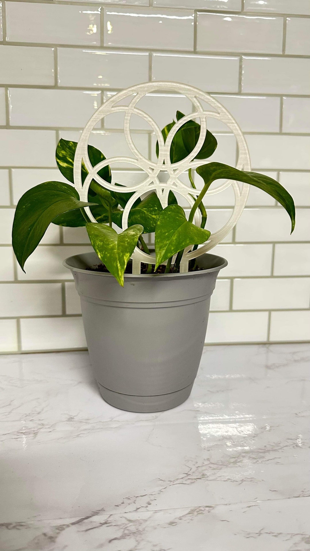 Fileonly | 5 Bundle Circle Trellis Designs | Houseplants | Plants ...