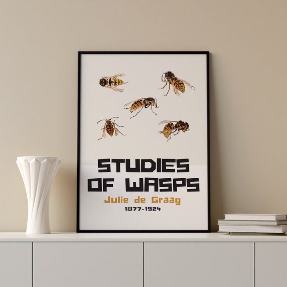 Wasps Vintage Illustration Art Print Entomology Wall Art - Etsy