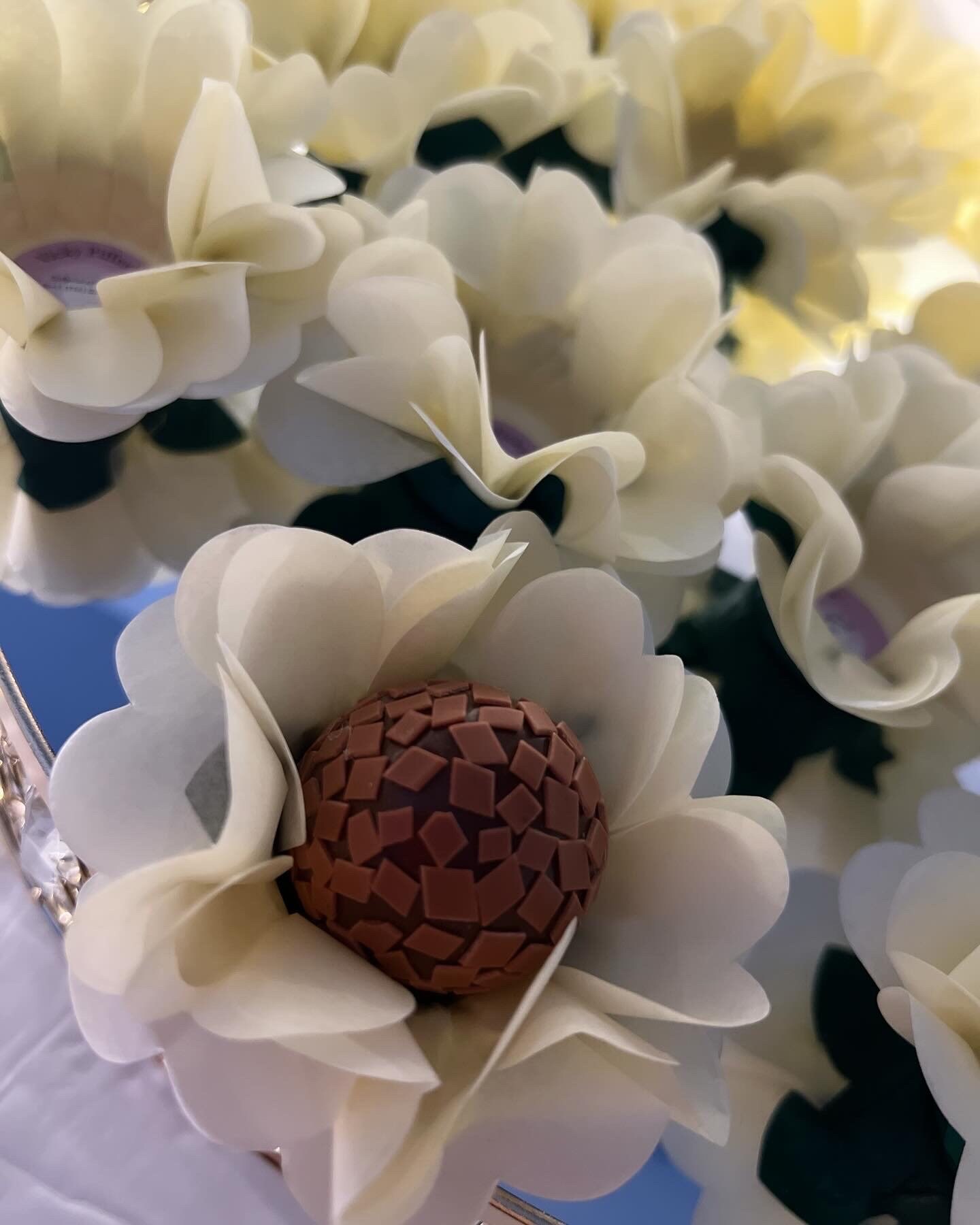 40 Units/marfim Wrappers/ to Holding Chocolates, Truffles, Bonbons and ...