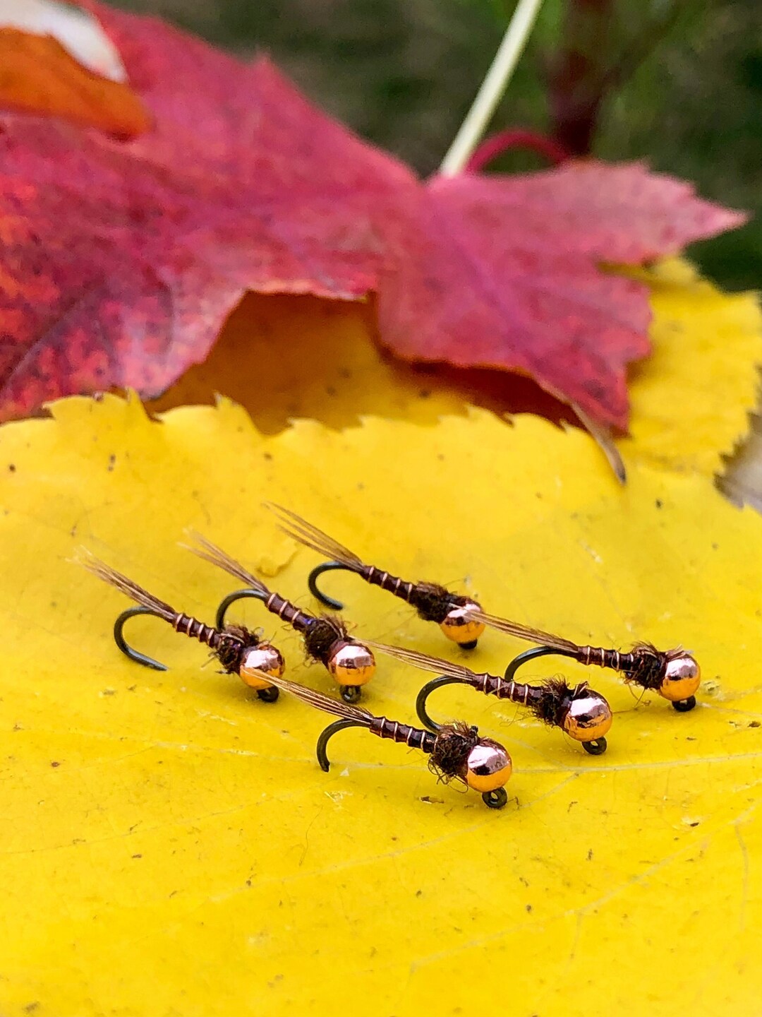 Two Tone Thread Frenchie (6 Pack) - Etsy