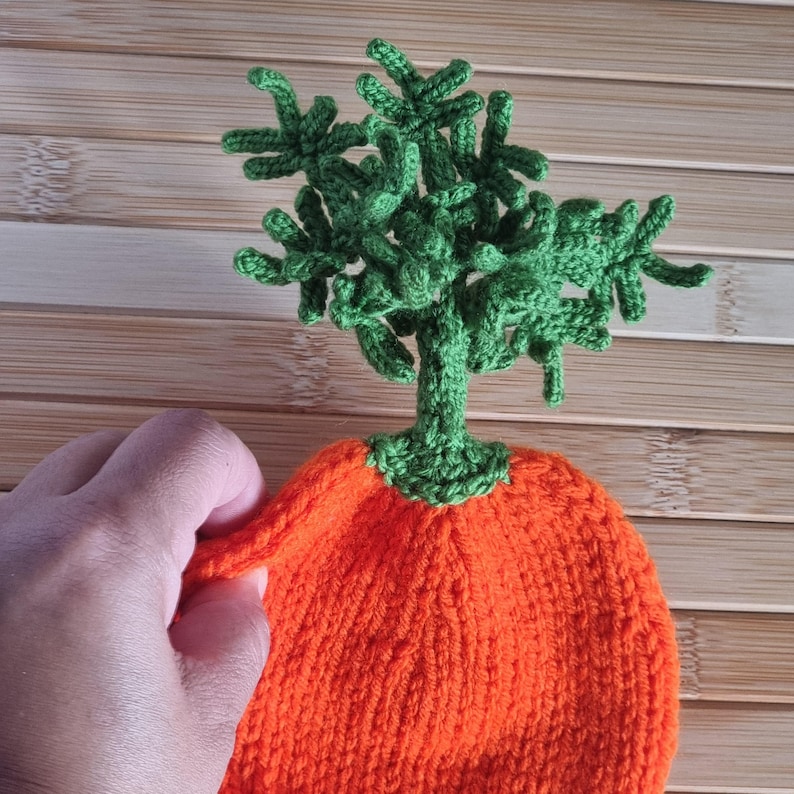 Carrot Hat/vegetable Knit Hat/carrot Knit Hat/veggies Knitted Hat/adult ...