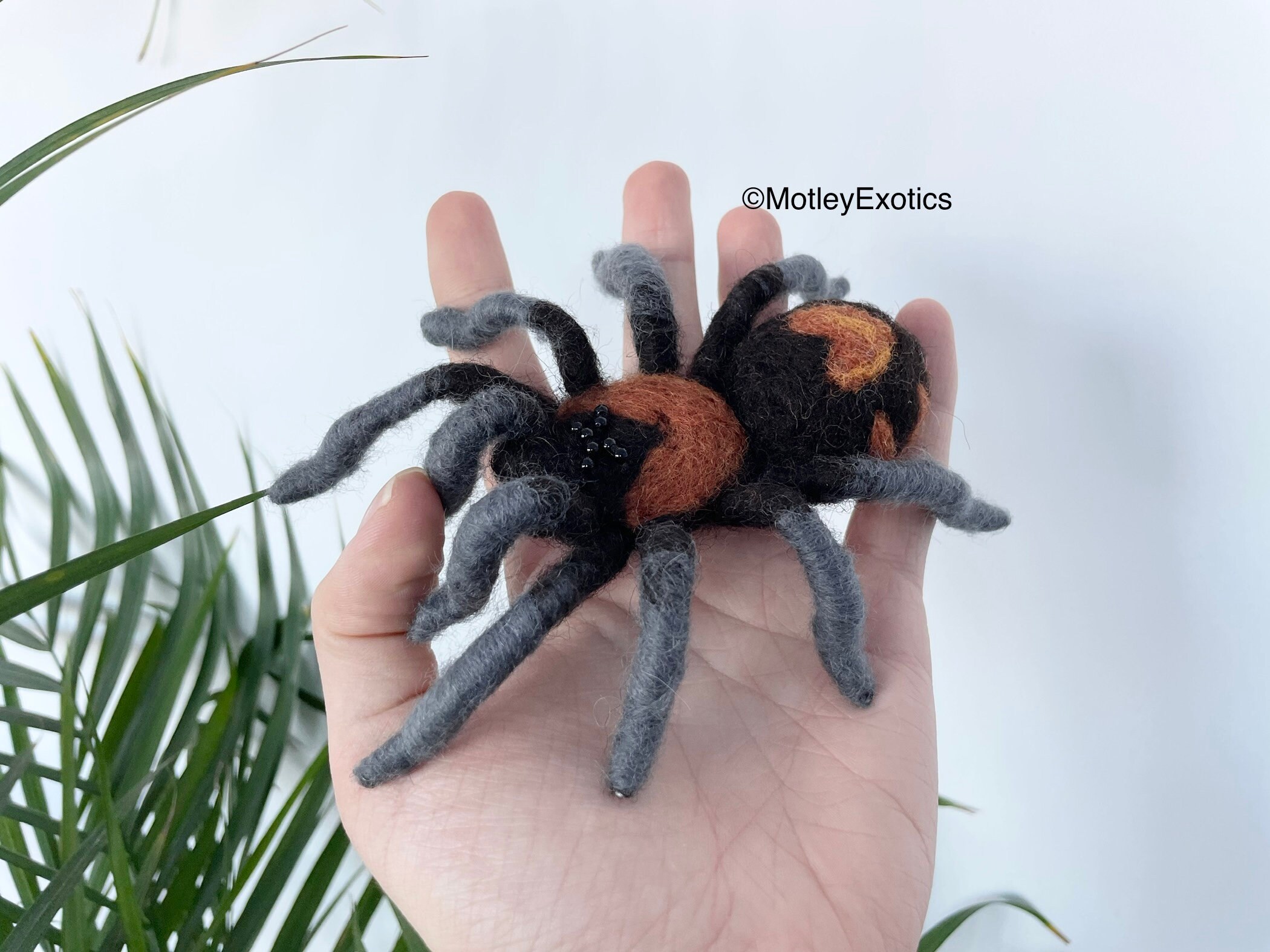 Needle-felted Creatures Love Heart Butt Tarantula Cyriocosmus - Etsy