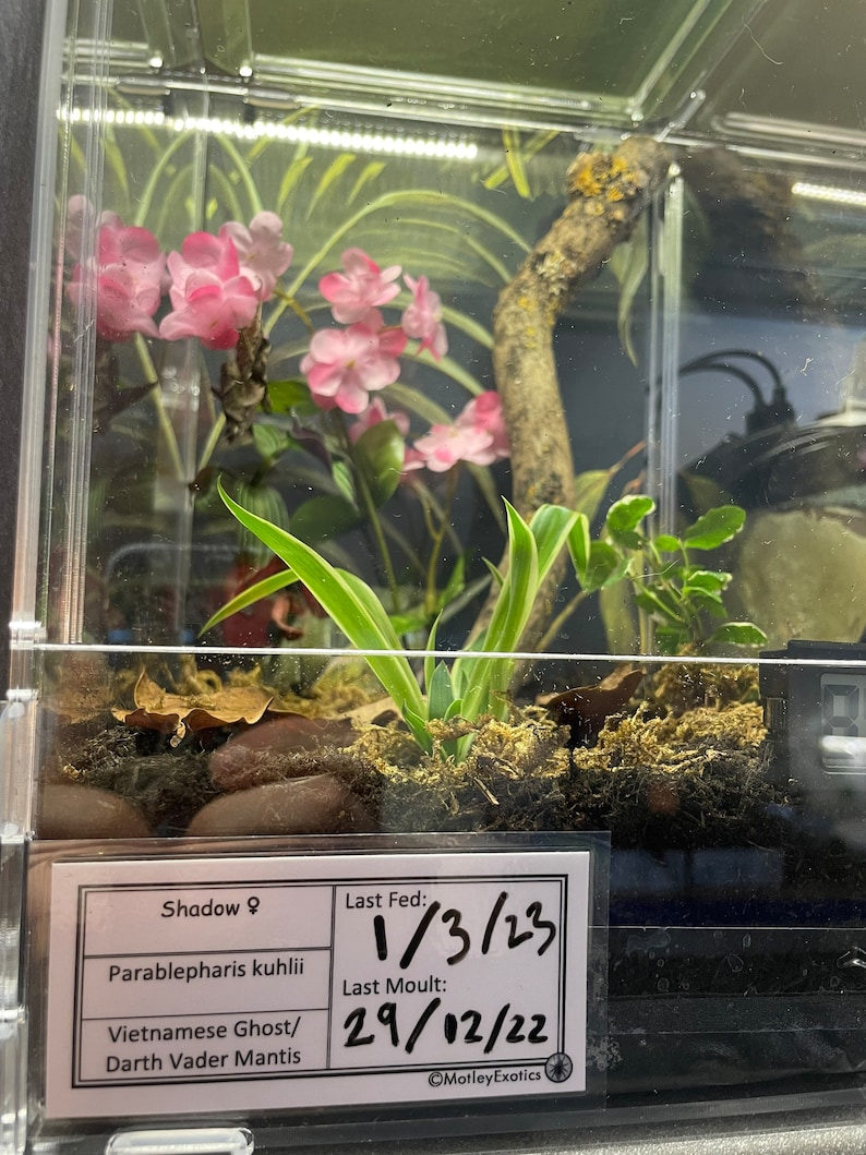 Custom Vivarium Label With Event Record Laminated Enclosure - Etsy