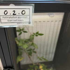 Terrarium Label With Blank Space, Laminated Enclosure Label Exotic Pet ...