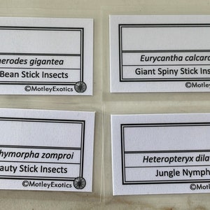 Terrarium Label With Blank Space Laminated Enclosure Label - Etsy