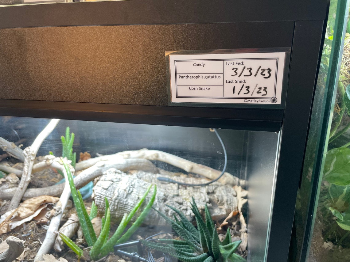 Custom Vivarium Label With Event Record Laminated Enclosure Label ...