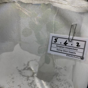Terrarium Label With Blank Space, Laminated Enclosure Label Exotic Pet ...