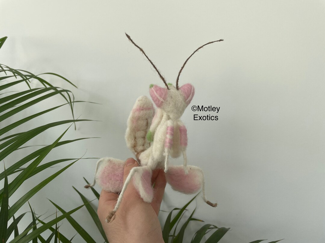 Custom Pet Mantis Portrait Needle-felted. Handmade Limited Unique Gift ...