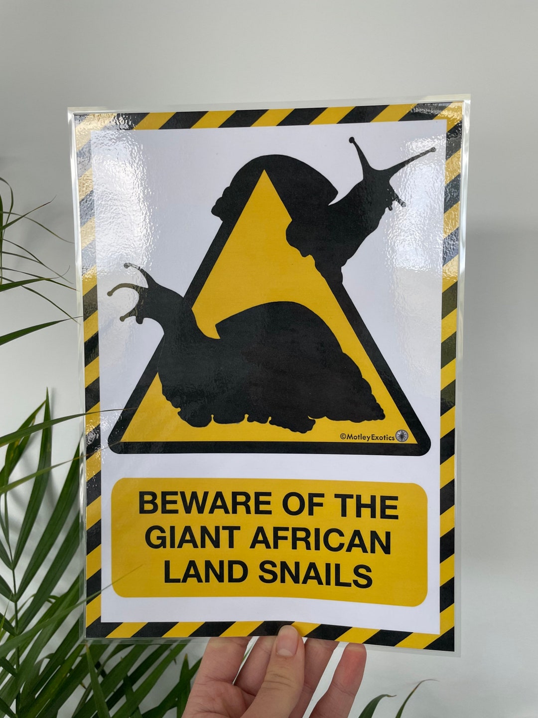 Giant African Land Snail Large Warning Signs Funny Terrarium Vivarium ...