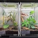 Small Terrarium Label Laminated Enclosure Label Exotic Pet Informative ...