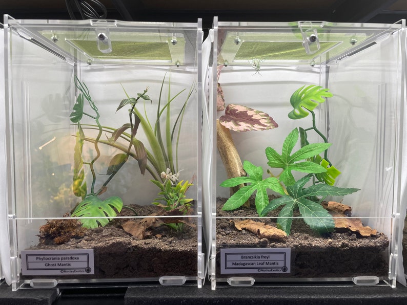 Small Terrarium Label Laminated Enclosure Label Exotic Pet - Etsy UK