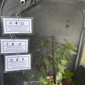 Terrarium Label With Blank Space Laminated Enclosure Label - Etsy