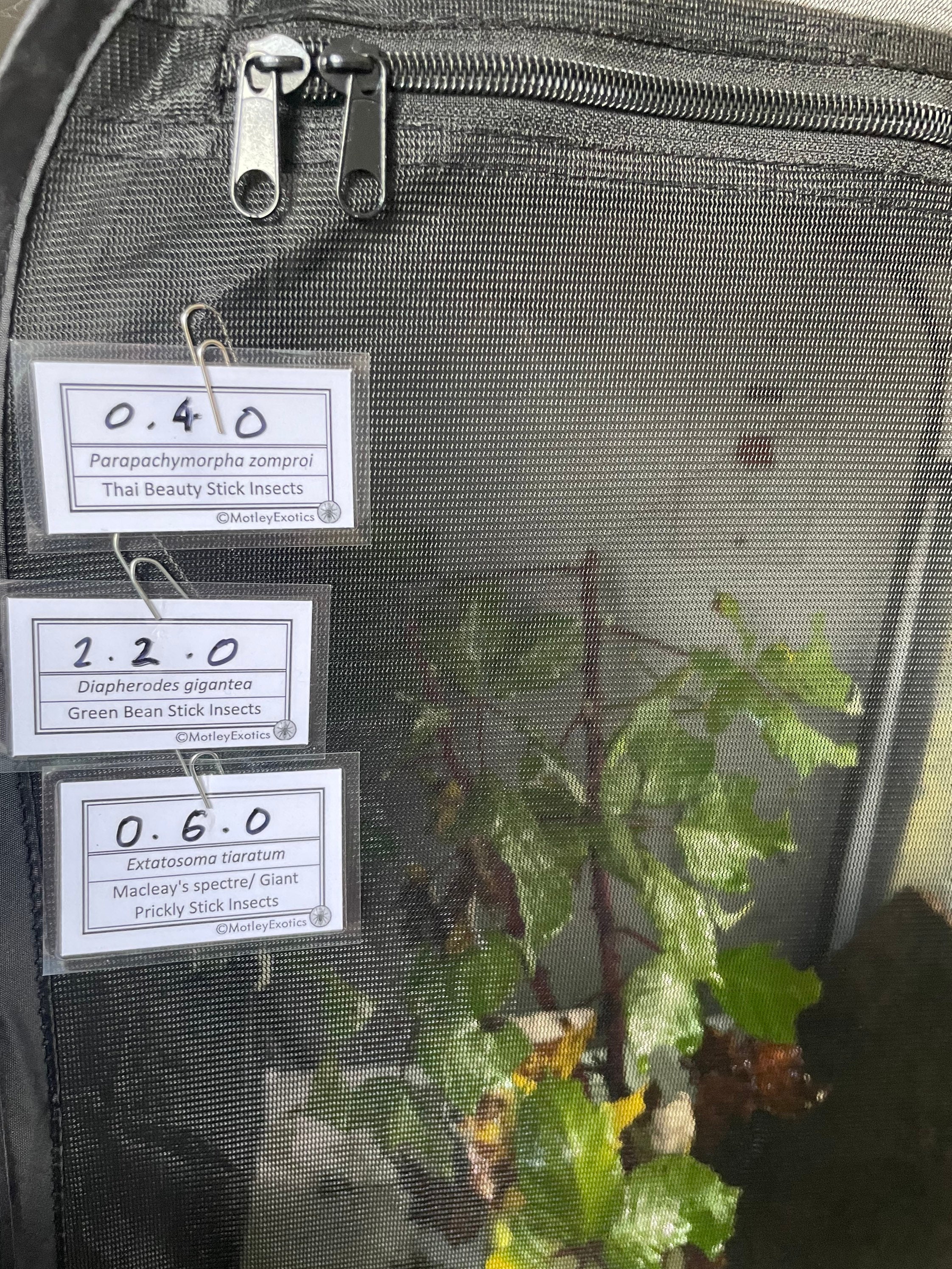 Terrarium Label With Blank Space, Laminated Enclosure Label Exotic Pet ...