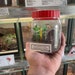Small Terrarium Label Laminated Enclosure Label Exotic Pet - Etsy UK