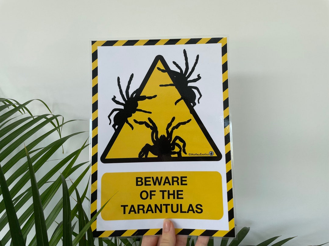 Large Warning Signs Funny Terrarium Vivarium Laminated Tarantula ...