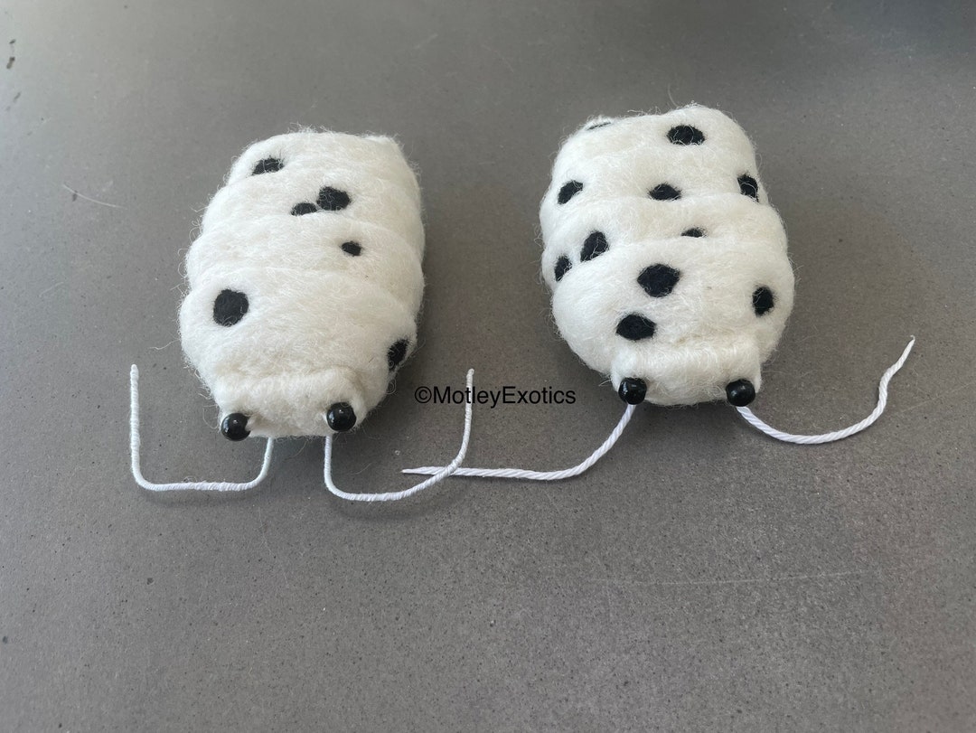 Dairy Cow Isopod Woodlouse Handmade Needle-felted Creatures - Etsy