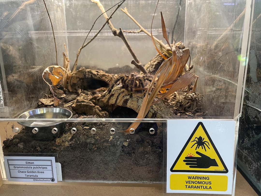 Warning Signs for Terrarium /vivarium -laminated Tarantula, Reptile ...