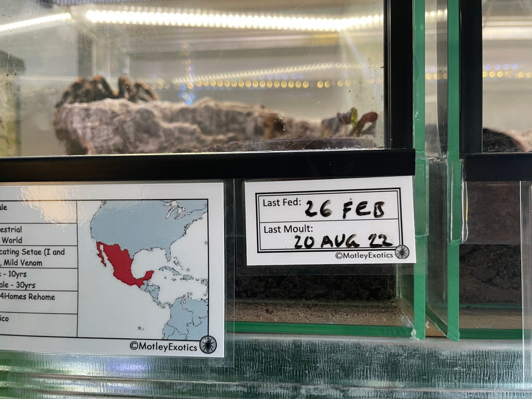 Vivarium Label With Event Record Laminated Enclosure Label Exotic Pet ...