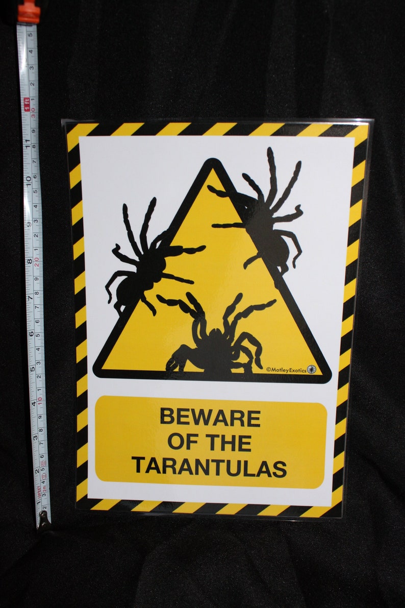 Giant African Land Snail Large Warning Signs Funny Terrarium - Etsy