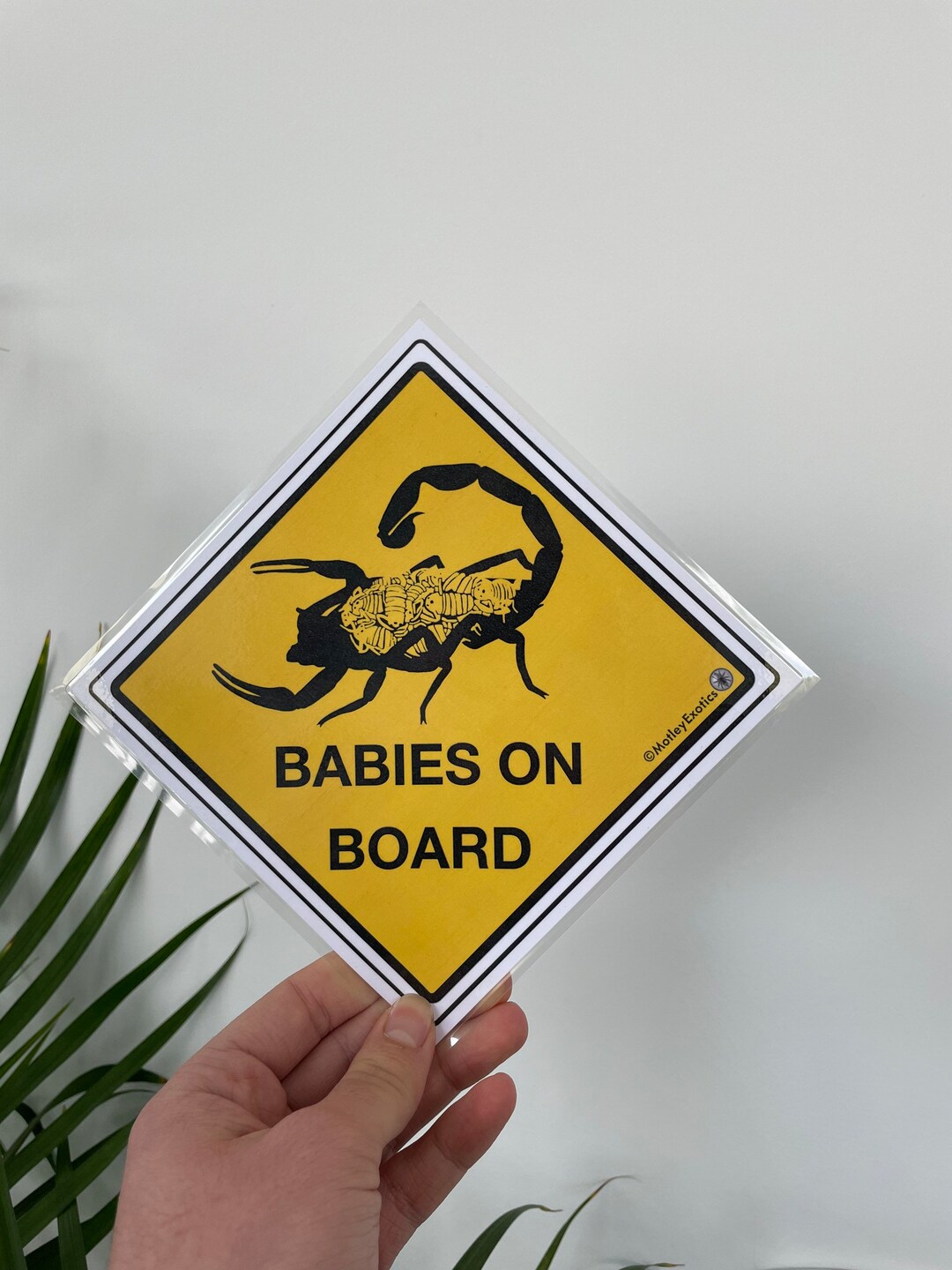 Babies on Scorpion Large Warning Signs Funny Terrarium Vivarium ...