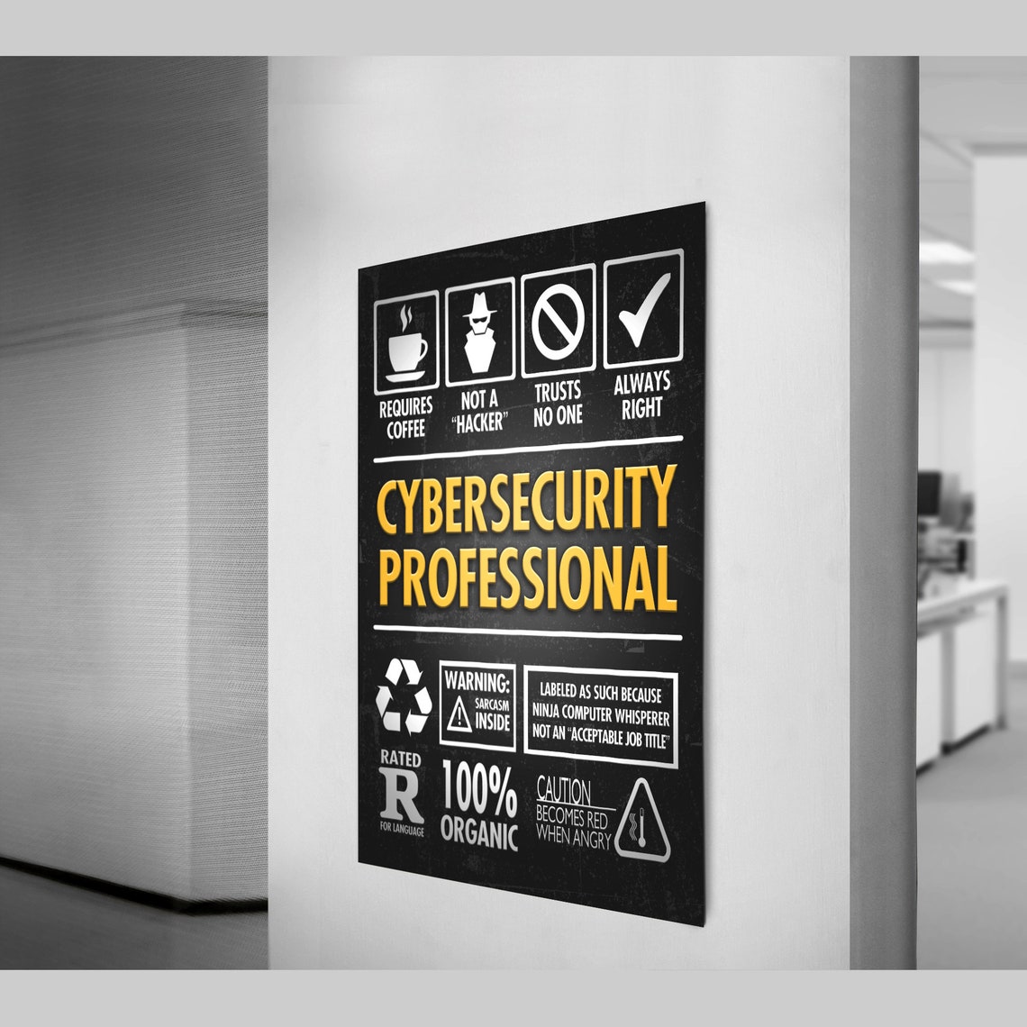 Cybersecurity CISSP not A Hacker Poster Gift for - Etsy