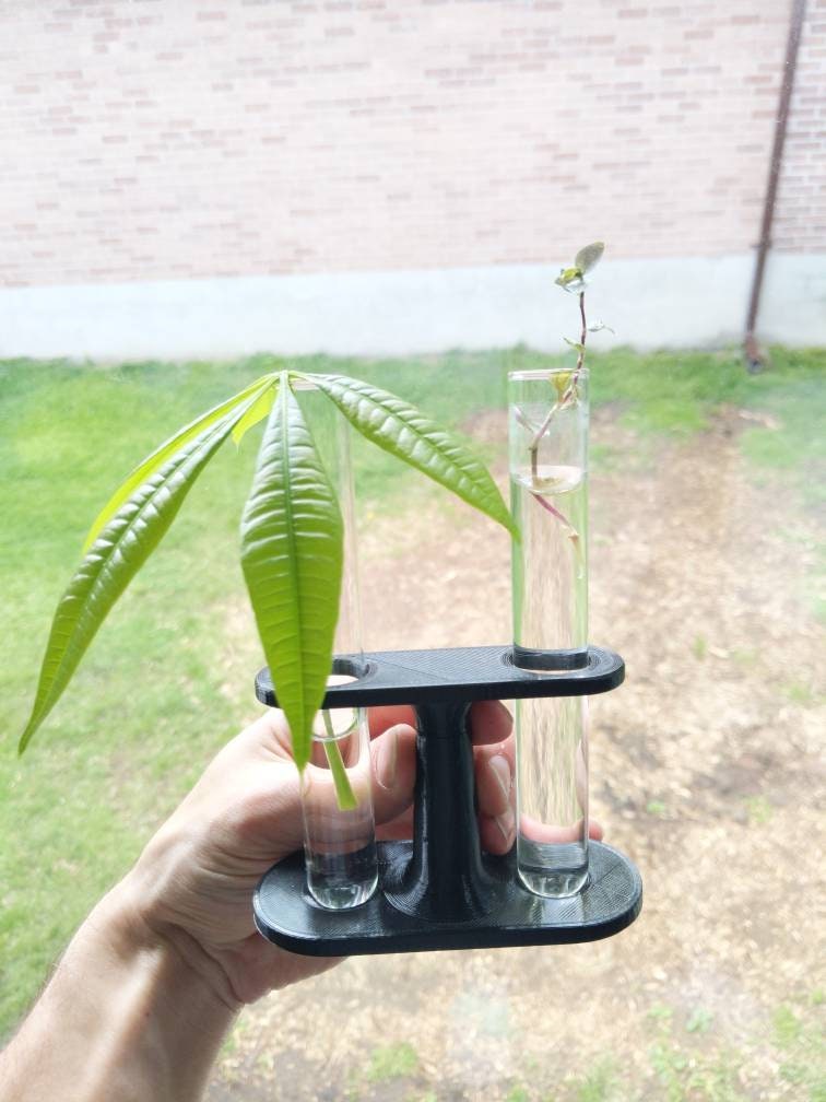 Test-tube Propogation Station - Etsy