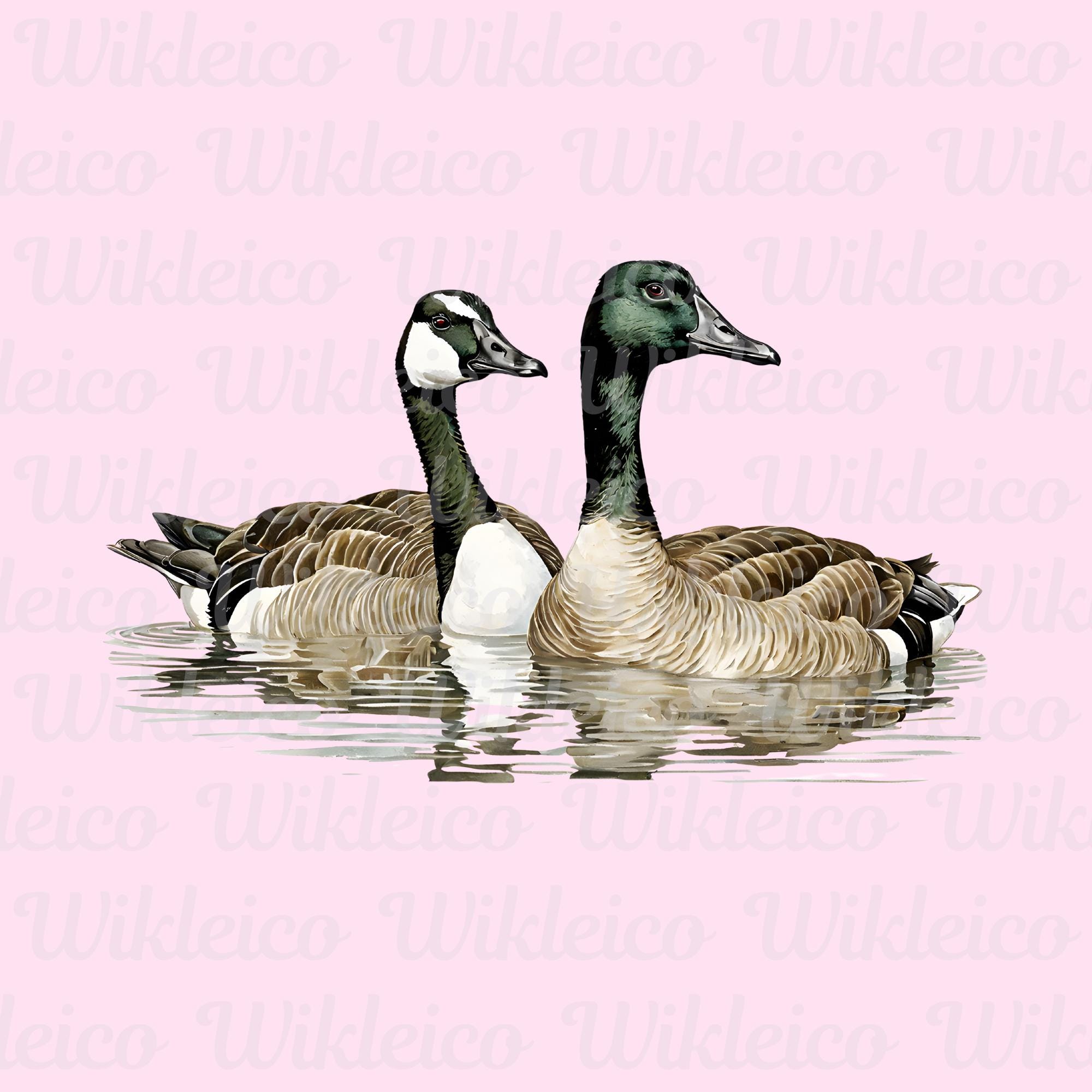 Vintage Geese PNG 90s Y2k Retro Vintage Inspired Goose Pond Watercolor ...