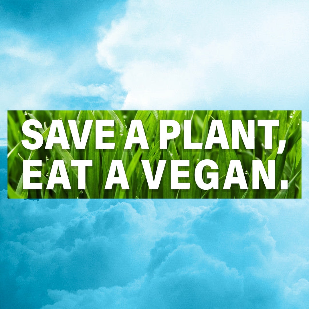 Save A Plant, Eat A Vegan Funny Bumper Sticker - Etsy