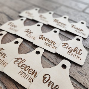 Wooden Baby Milestone Set, Months Photo Props, Farmhouse Style, Cow Ear ...