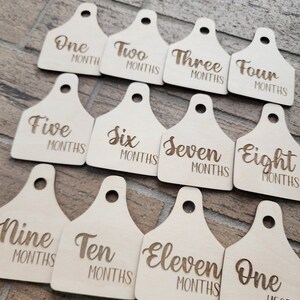 Wooden Baby Milestone Set, Months Photo Props, Farmhouse Style, Cow Ear ...