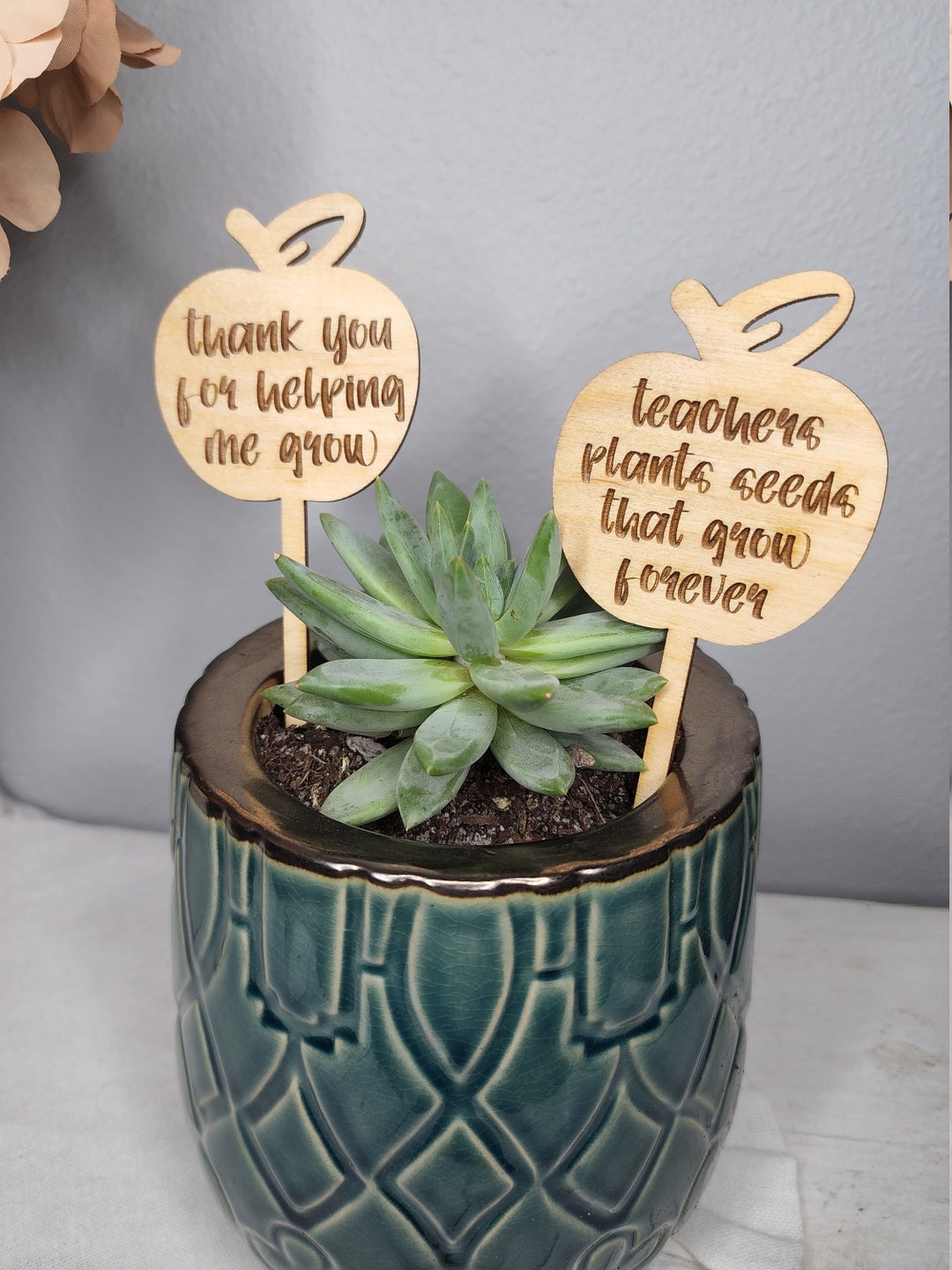 Teacher Plant Sticks, Teacher Appreciation Week, Gift, Plant Markers ...