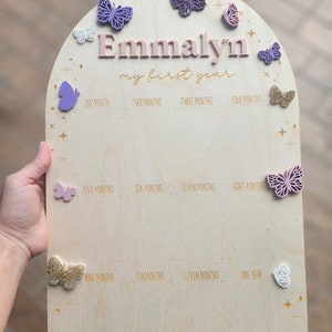First Year Birthday Photo Board, Baby Girl First Birthday, Butterfly ...