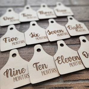Wooden Baby Milestone Set, Months Photo Props, Farmhouse Style, Cow Ear ...