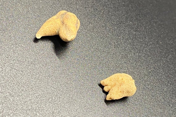 Lucky Hand Root Pair | Etsy