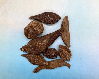 High John the Conqueror Root - Etsy