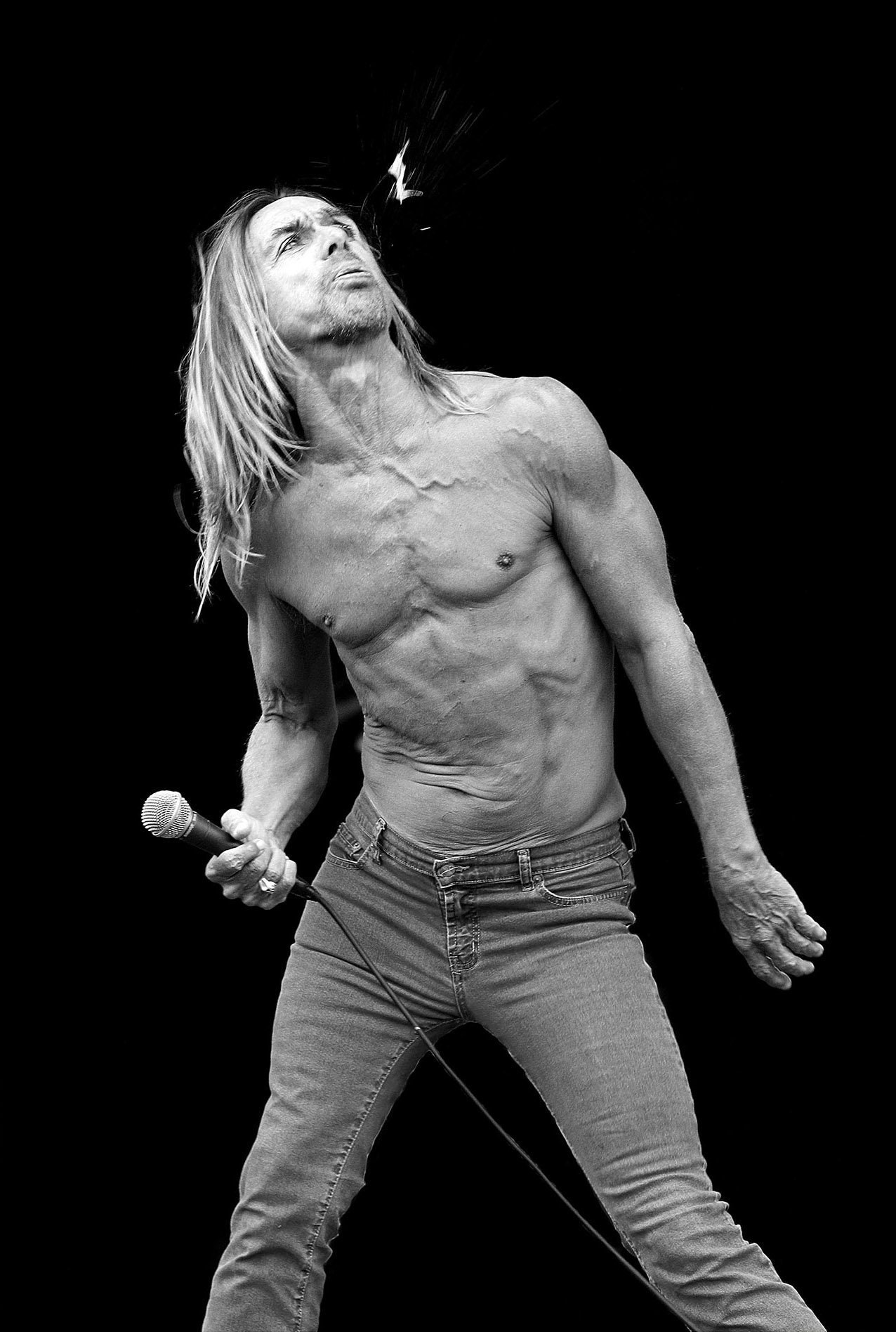 Iggy Pop Body