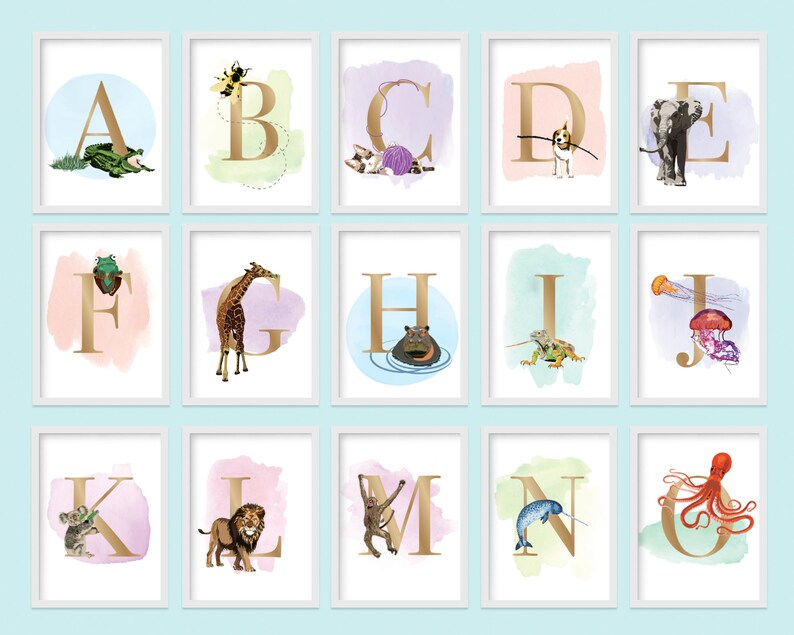 Animal Alphabet Poster | Alphabet Zoo Animal | Baby Name Creator ...