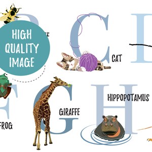 Animal Alphabet Poster | Alphabet Zoo Animal | ABC | Animal Letters ...