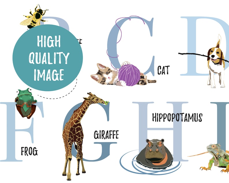 Animal Alphabet Poster | Alphabet Zoo Animal | ABC | Animal Letters ...