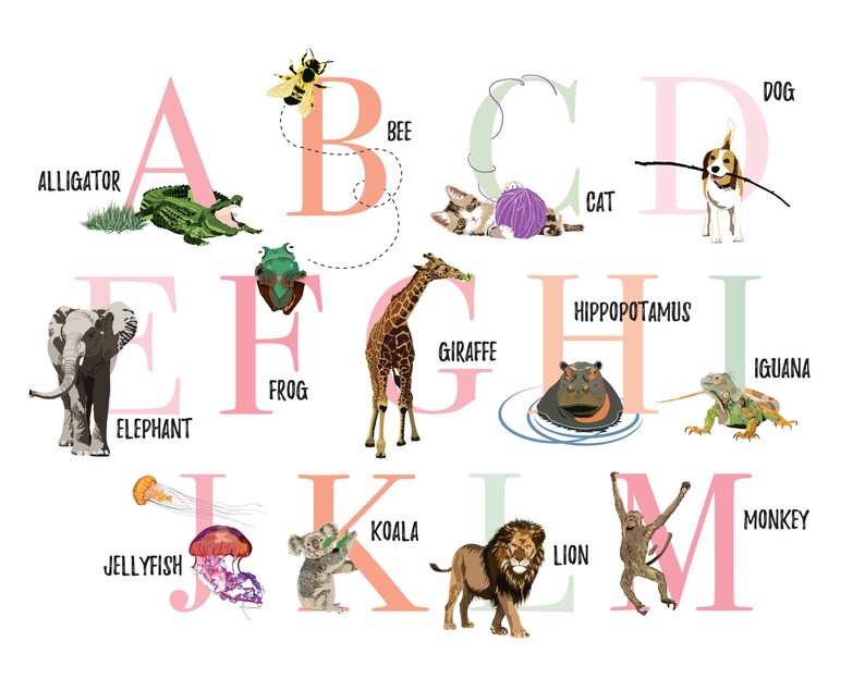 Animal Alphabet Poster | Alphabet Zoo Animal | ABC | Animal Letters ...
