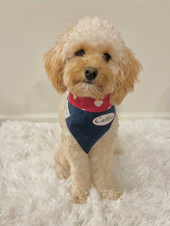 Personalized Rosie the Riveter Over the Collar Dog Bandana | Etsy