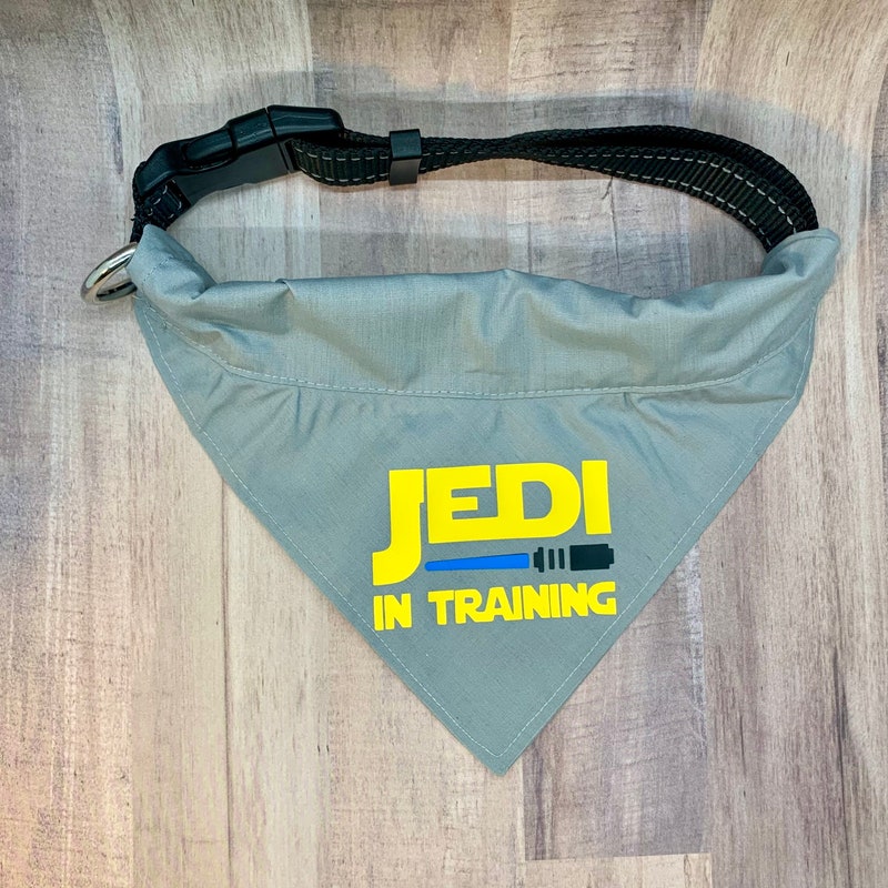 Jedi in Training - Etsy