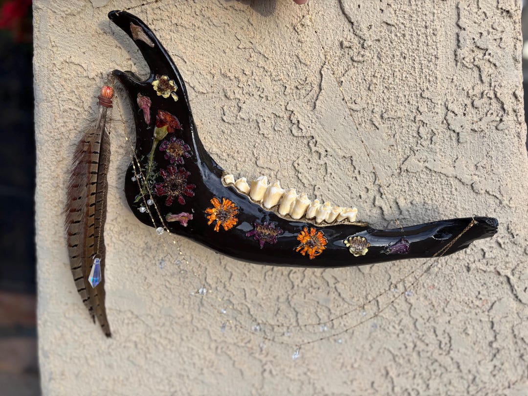 Hand-painted Buffalo Jaw Wall Art, Boho-western Decor - Etsy