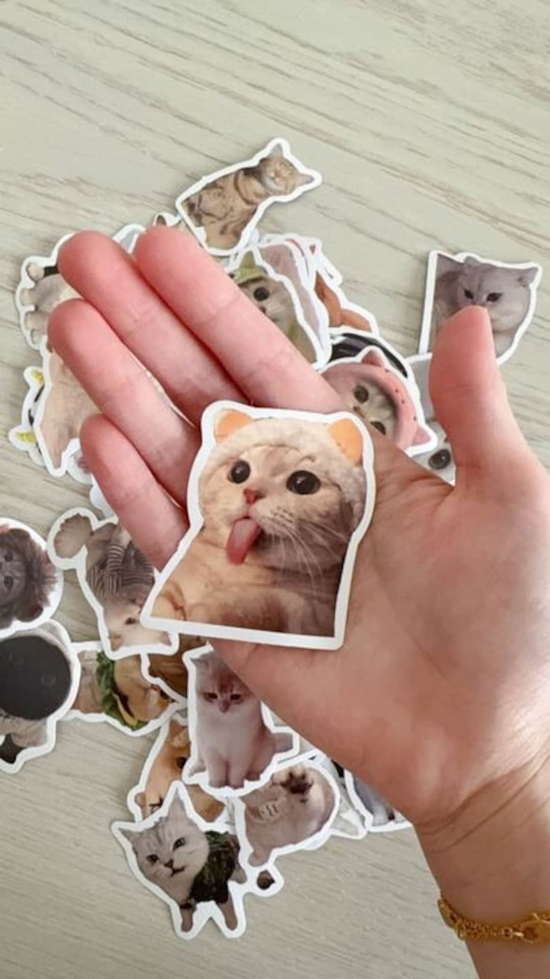 10 - 60 PCS Cute Cat Sticker Pack | Kawaii Sticker | Animal Sticker ...