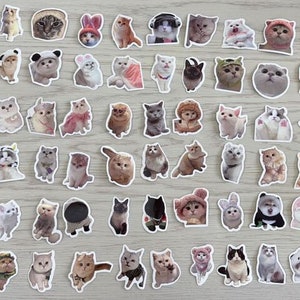 10 - 60 PCS Cute Cat Sticker Pack | Kawaii Sticker | Animal Sticker ...