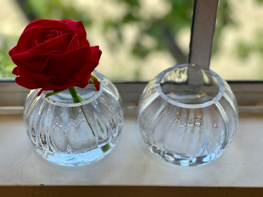 Clear Glass Small Bud Vase Set of 2, Bud Glass Vases, Decorative Clear ...