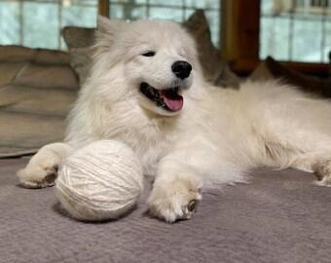 Samoyed Ball of Yarn Ready to Use 3 Oz. - Etsy