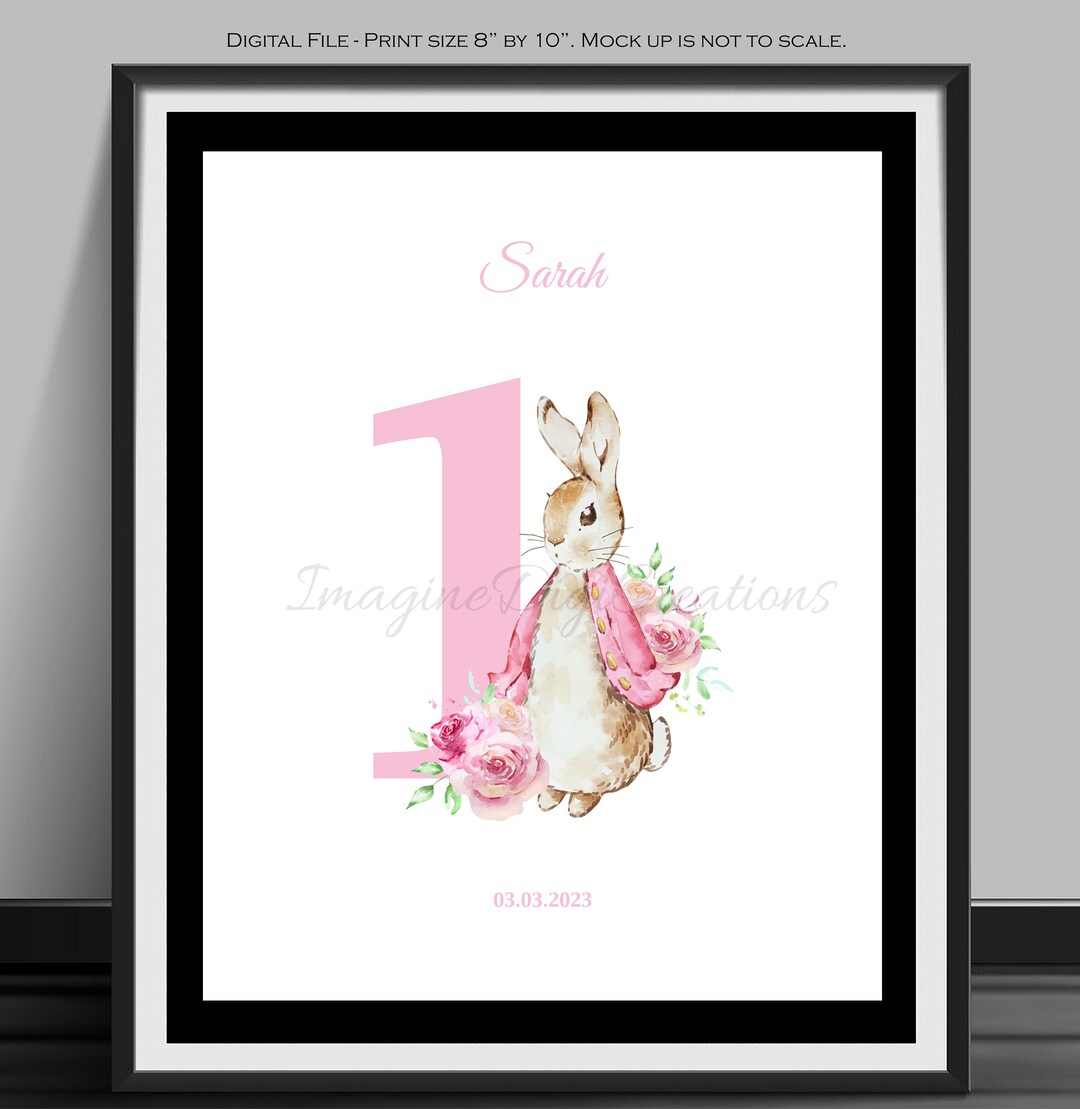 Peter Rabbit,birthday Numbers,personalized Birthday,baby Birthday,kids ...