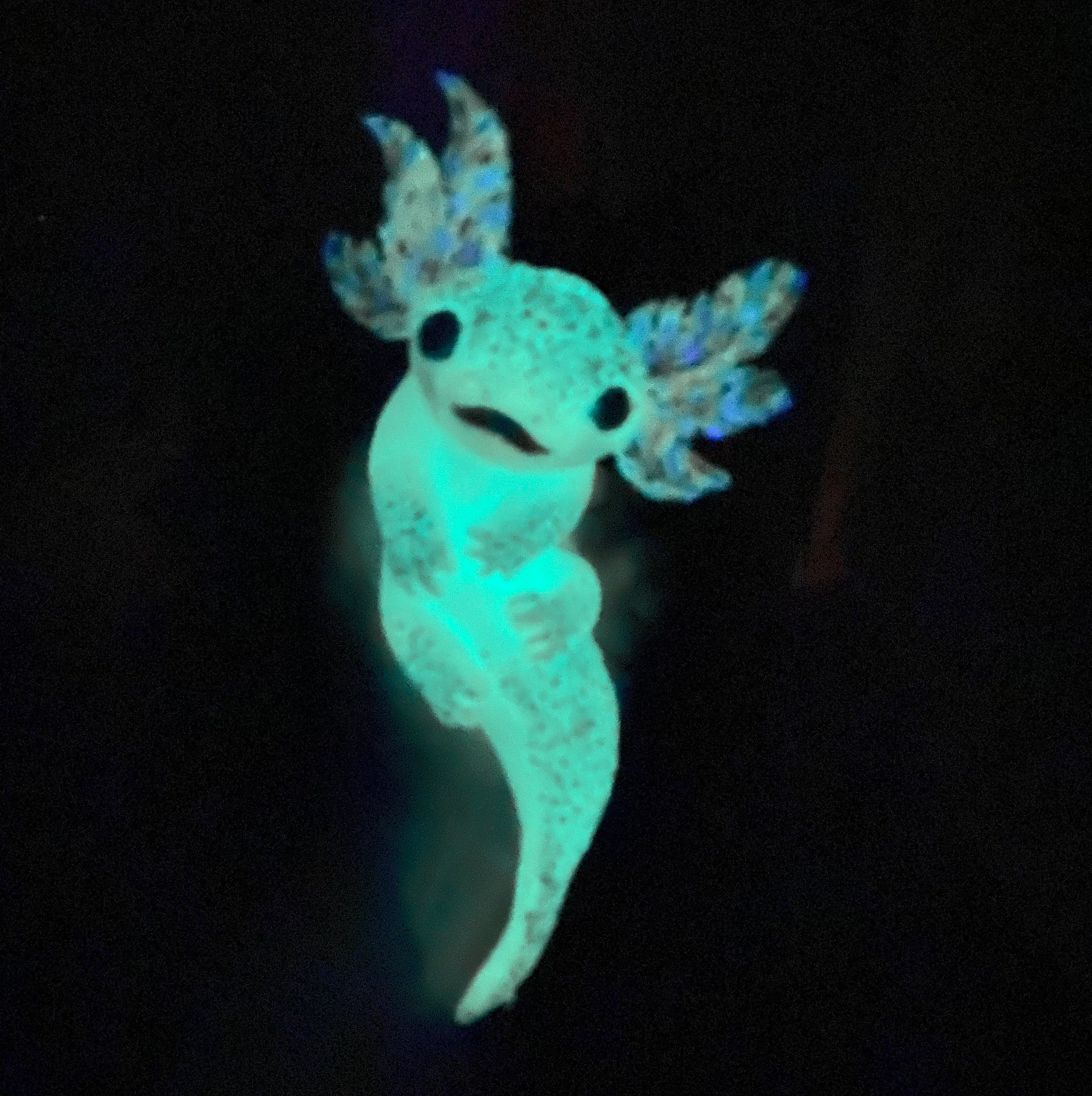 Fantasy Axolotl Axolotl Silicone Axolotl Mud Puppy Water | Etsy Canada