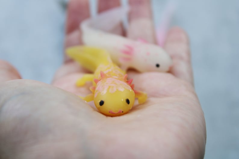 Mini Axolotl Baby Axolotl Squishy Stress Toy Albino - Etsy
